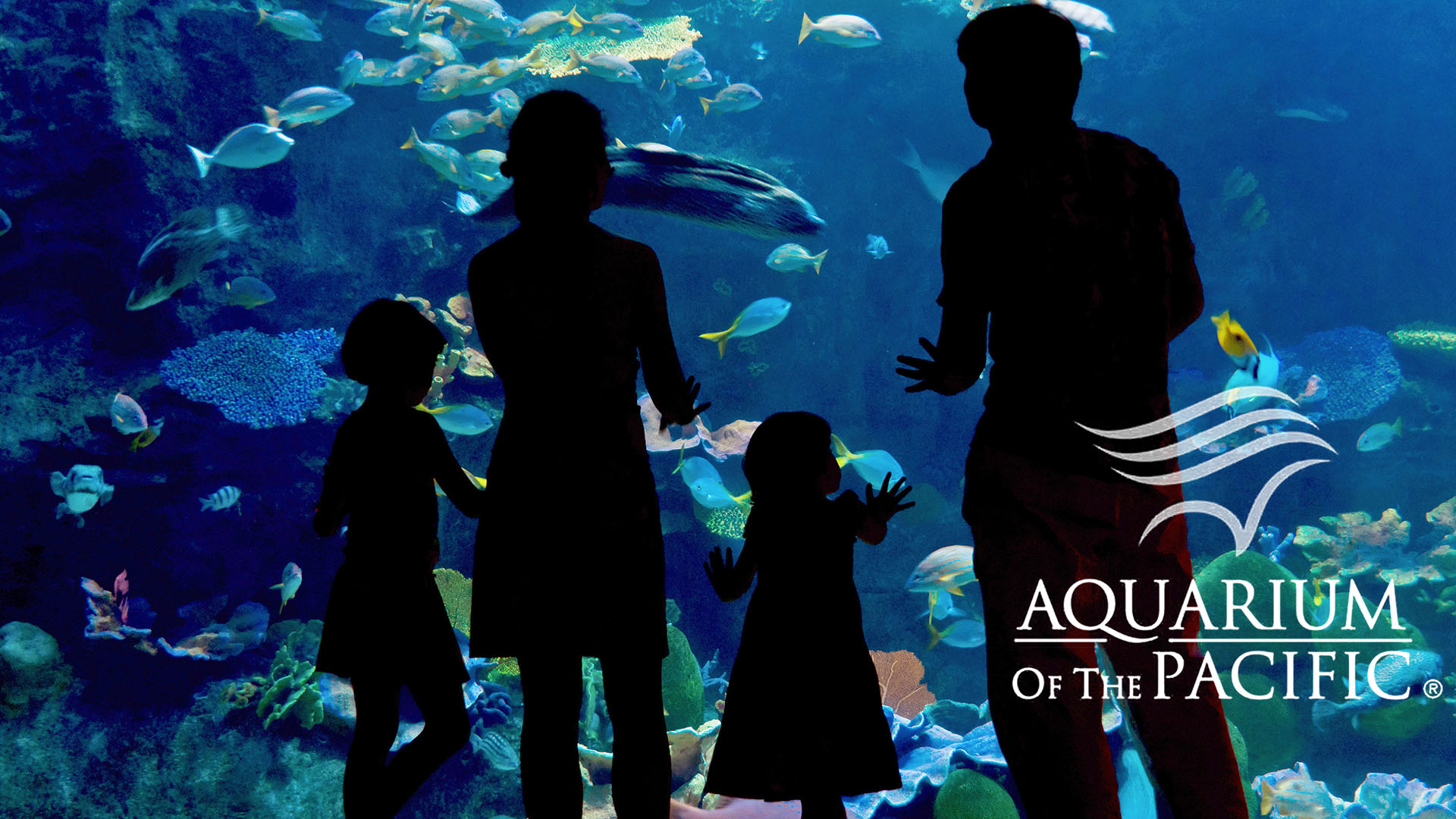 Aquarium of the Pacific Charter Bus | Ebmeyer Charter